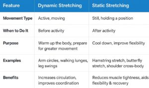 Static vs Dynamic Stretching: What’s the Difference and When Should You ...